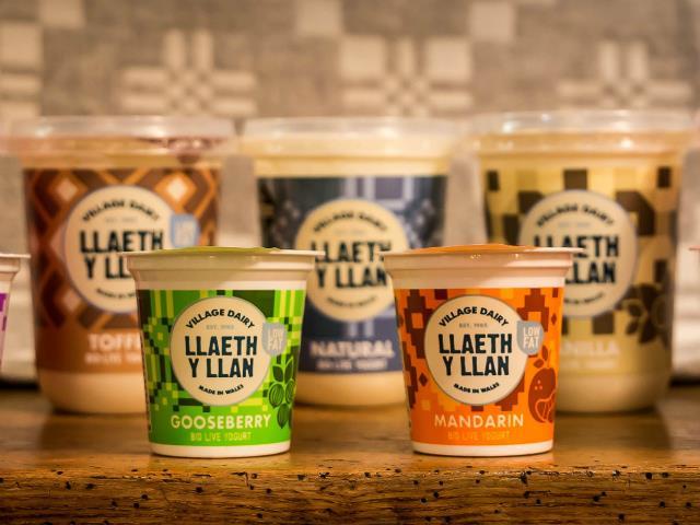 Yogurt supplier Llaeth Y Llan upgrades dairy to support expansion drive ...