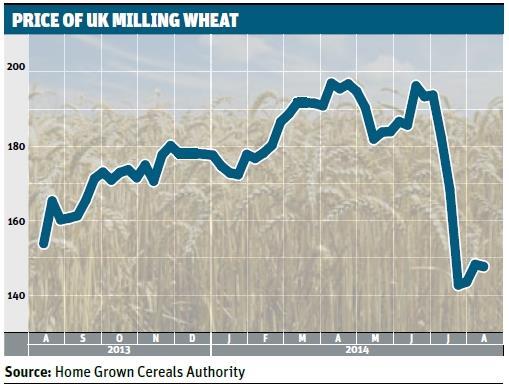 UK wheat price slumps with bumper harvest | Analysis and Features | The ...