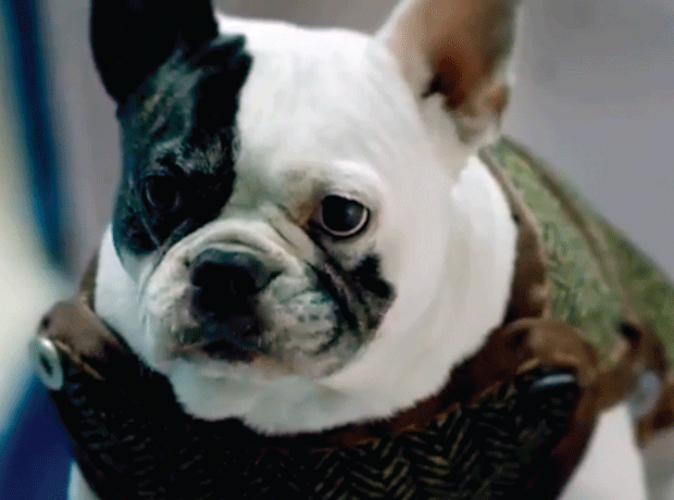 Top Campaigns of the Year: 11- 20 | Category Report | The Grocer